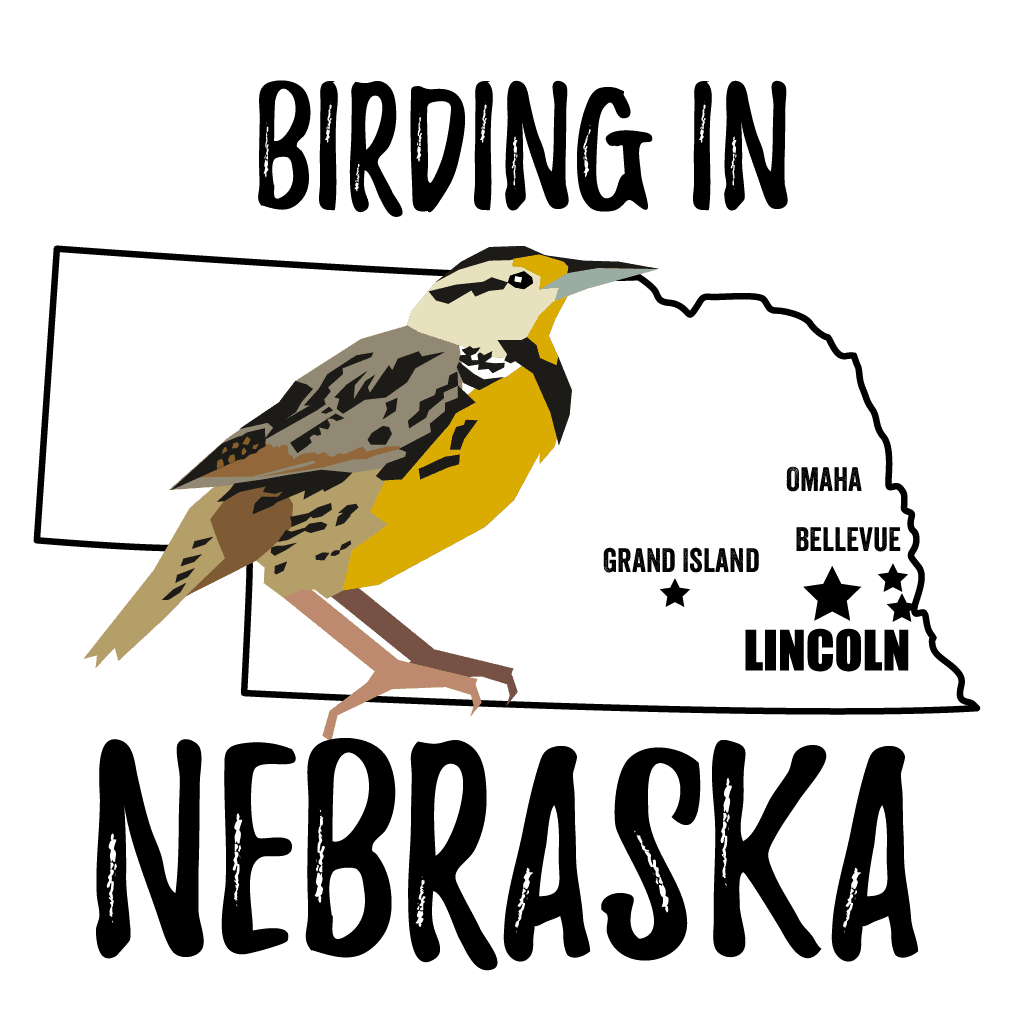 Birds in Nebraska – My Store