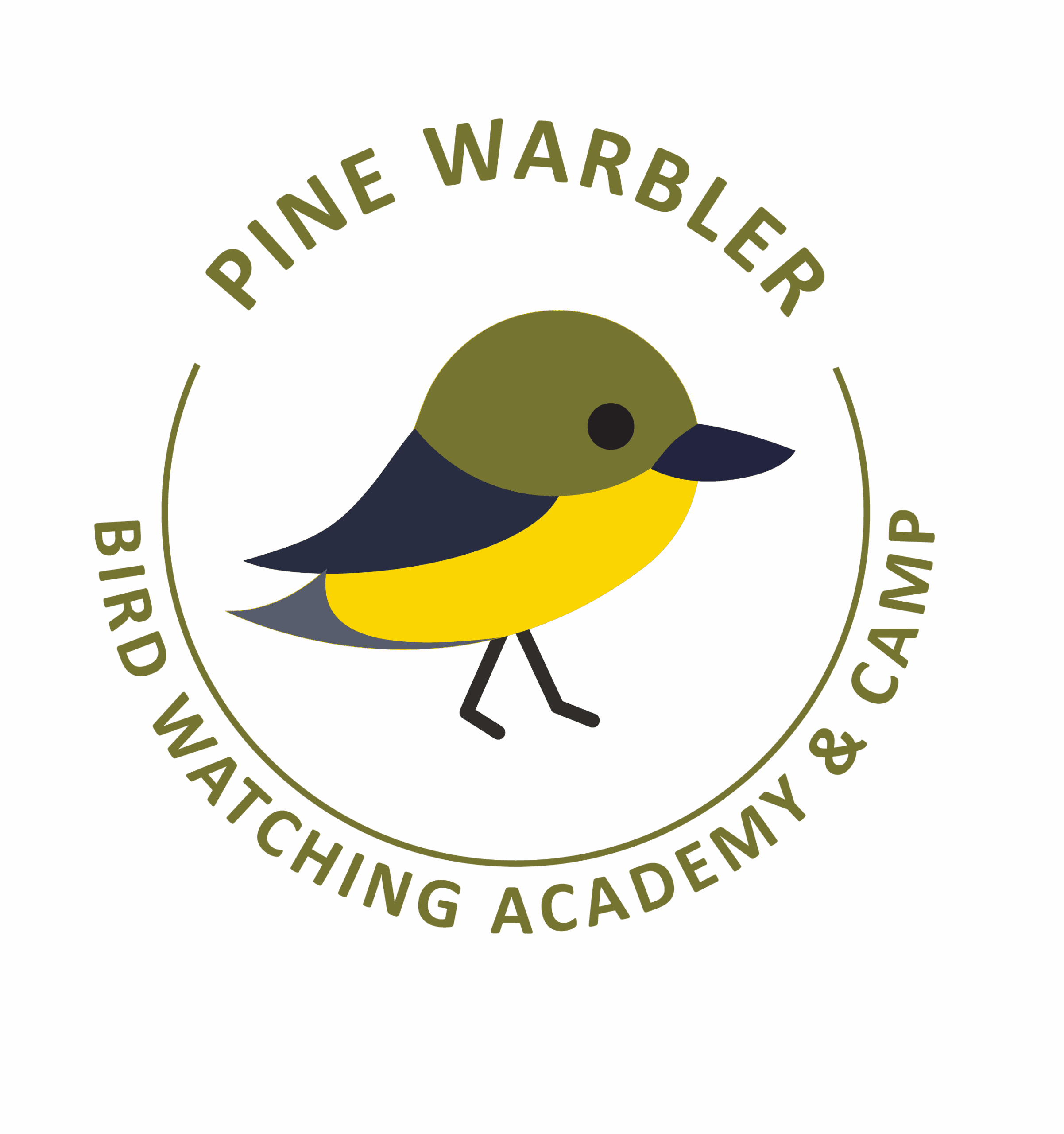 Pine Warbler – My Store