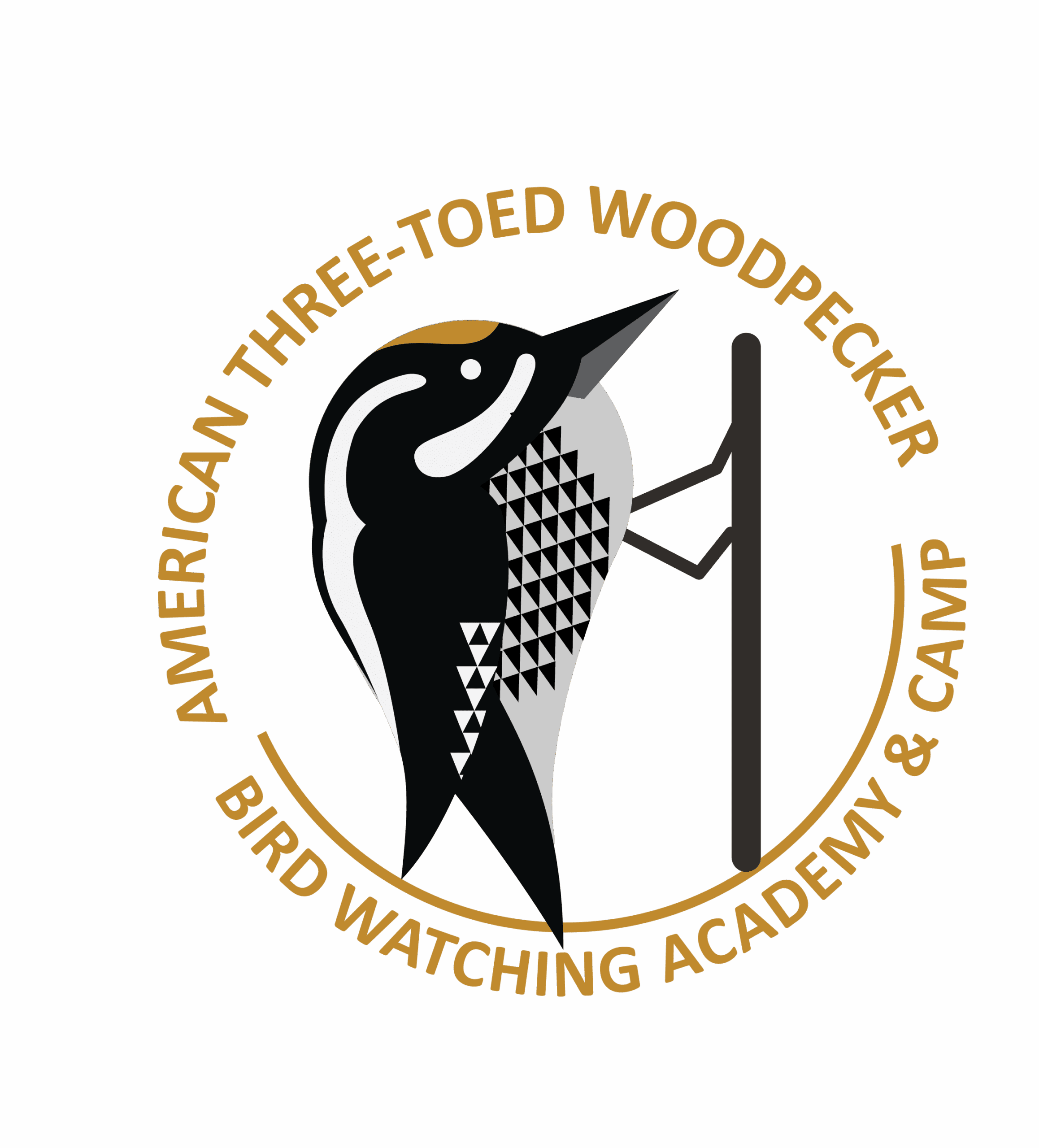 American Three-toed Woodpecker – My Store