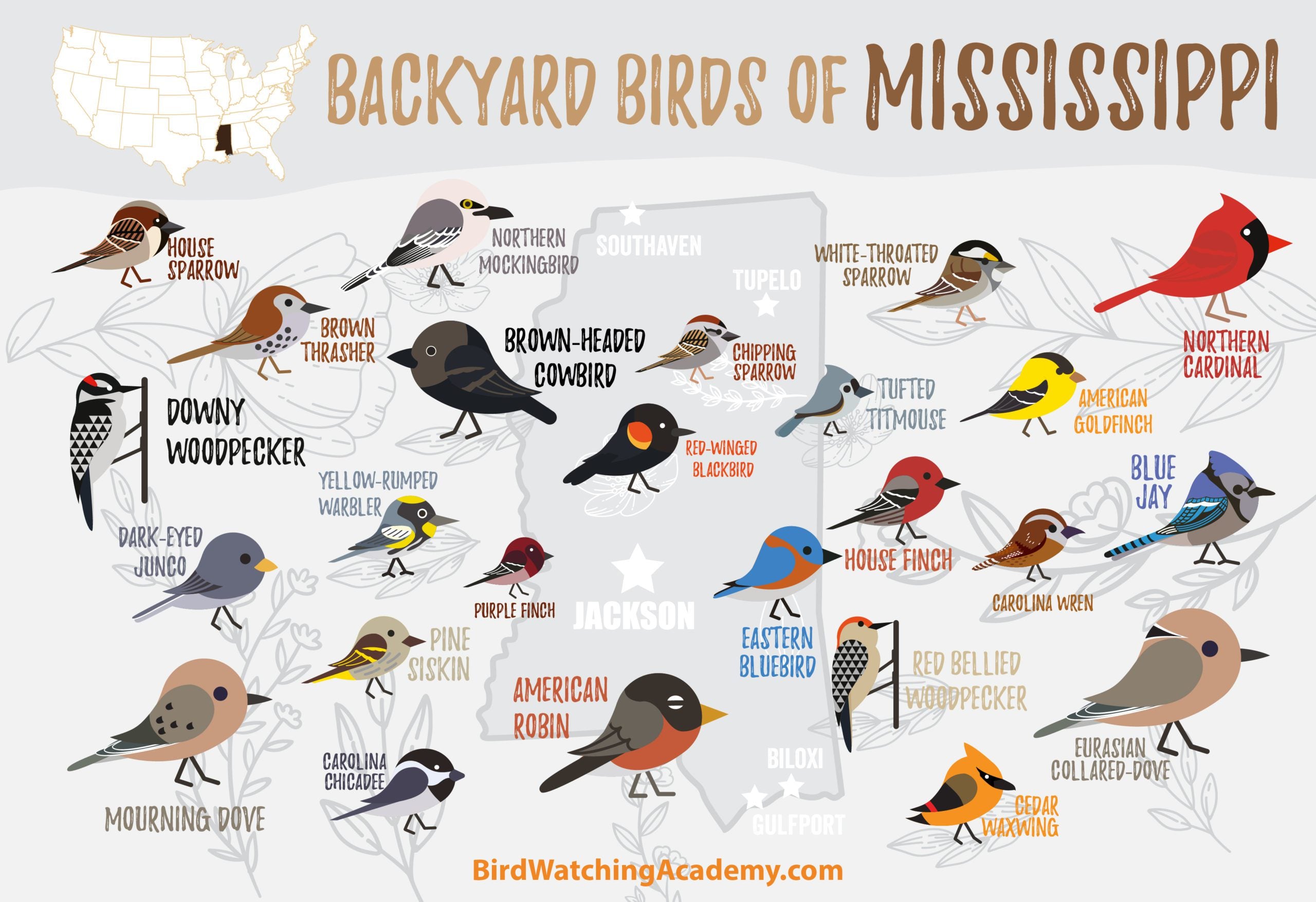 Backyard Birds of Mississippi – My Store