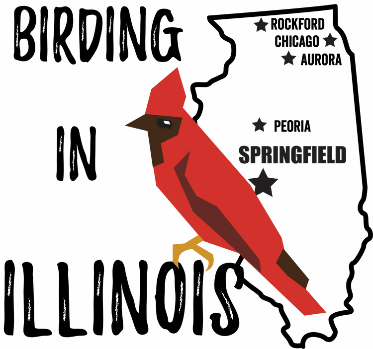 Birds in Illinois – My Store