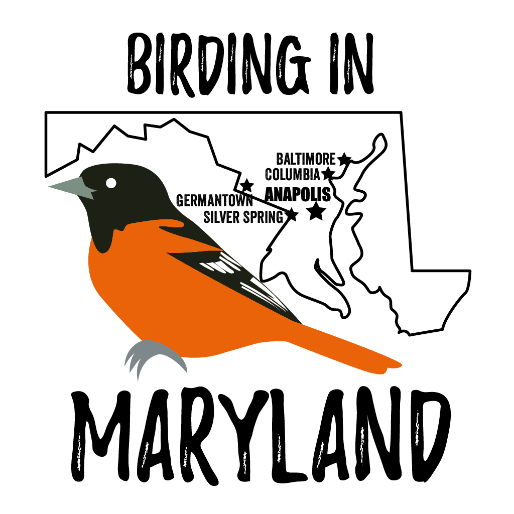Birds in Maryland – My Store