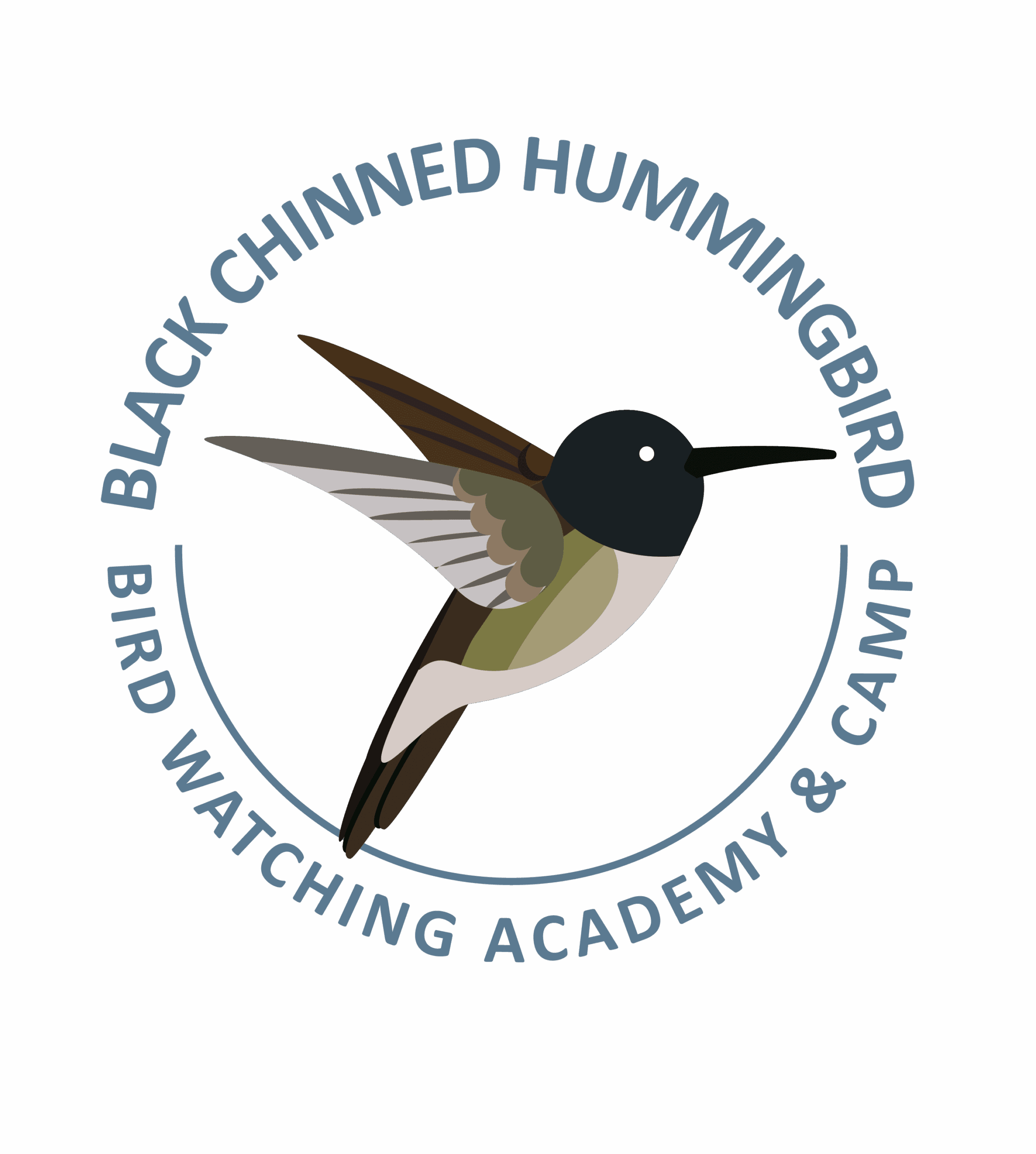 What Is The Hummingbirds Wing Speed? – My Store