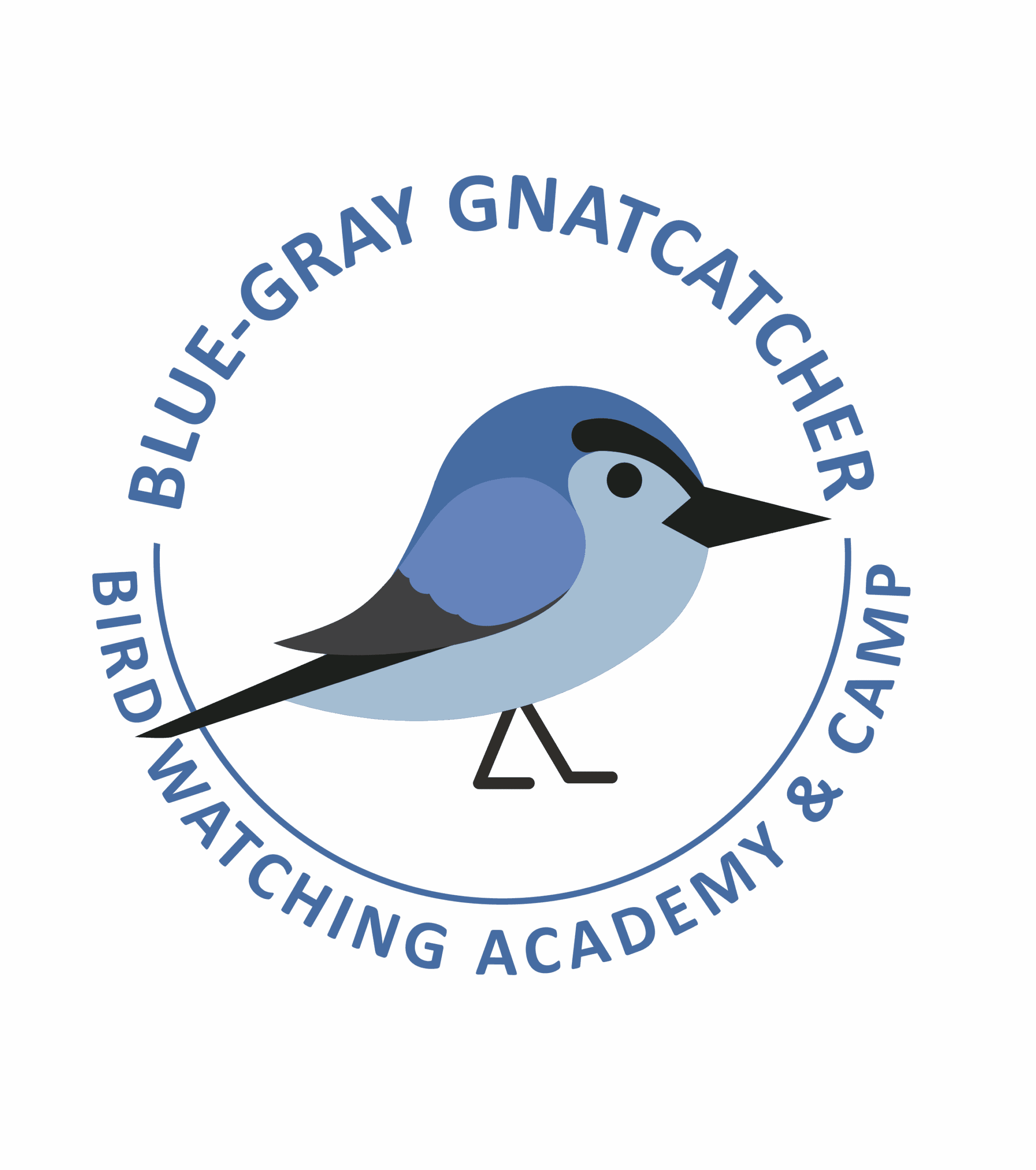 Blue-gray Gnatcatcher – My Store