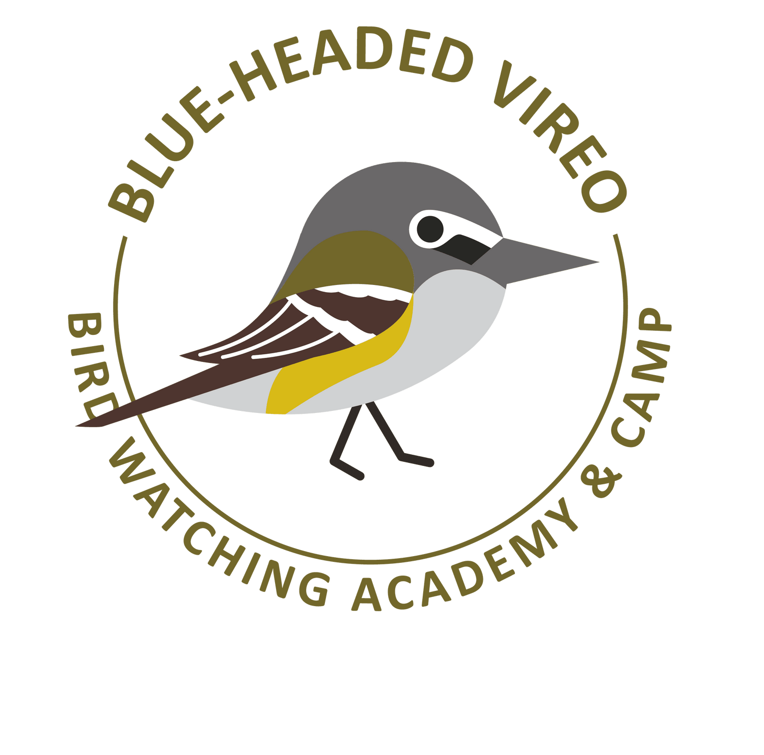 Blue-headed Vireo – My Store