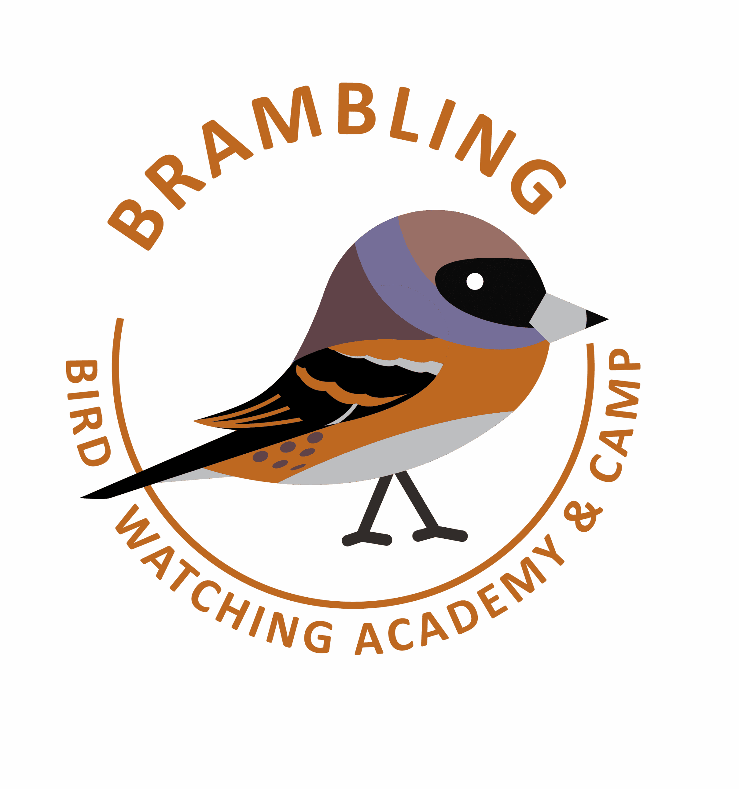 Brambling – My Store