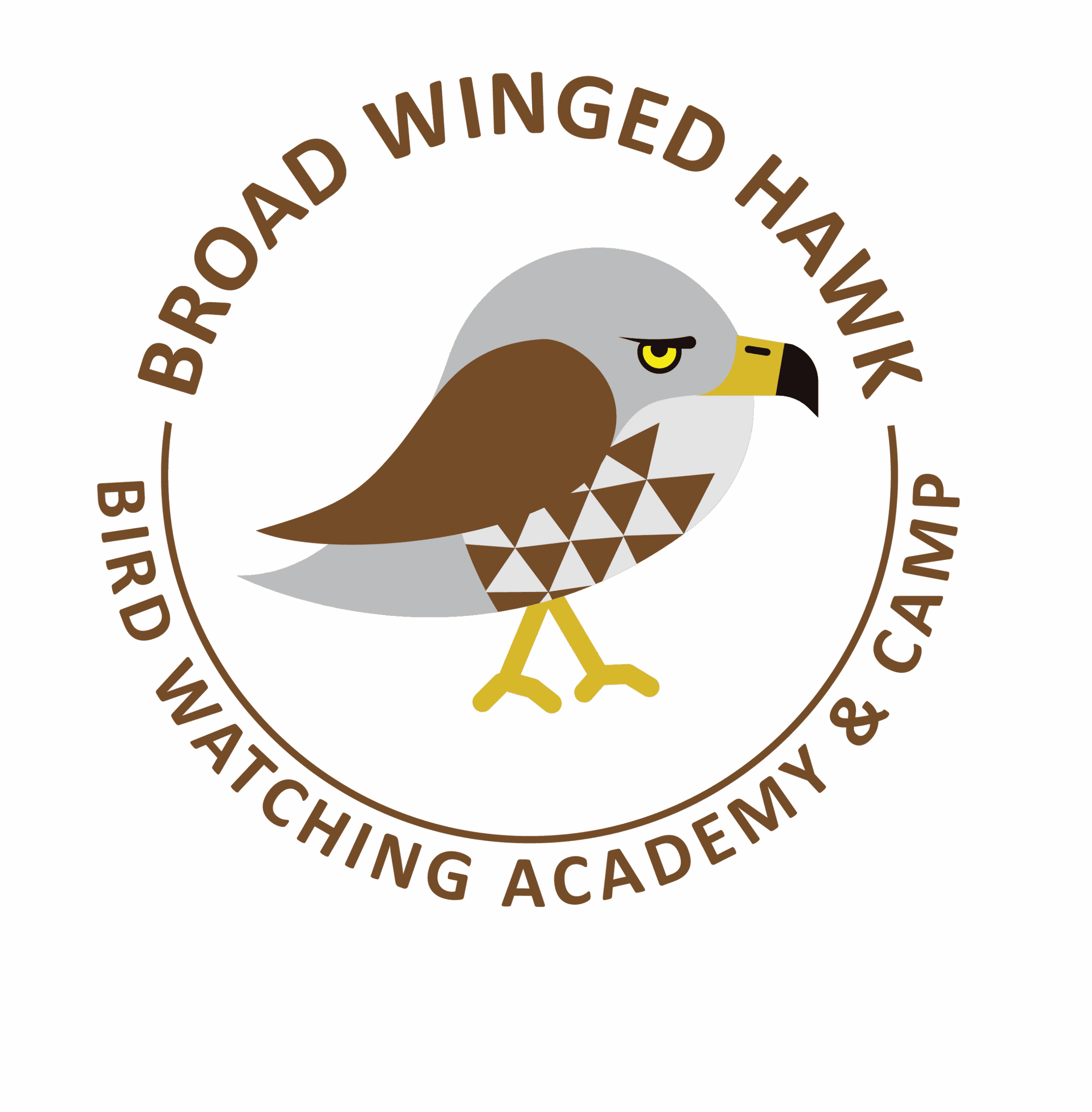 Broad Winged Hawk – My Store