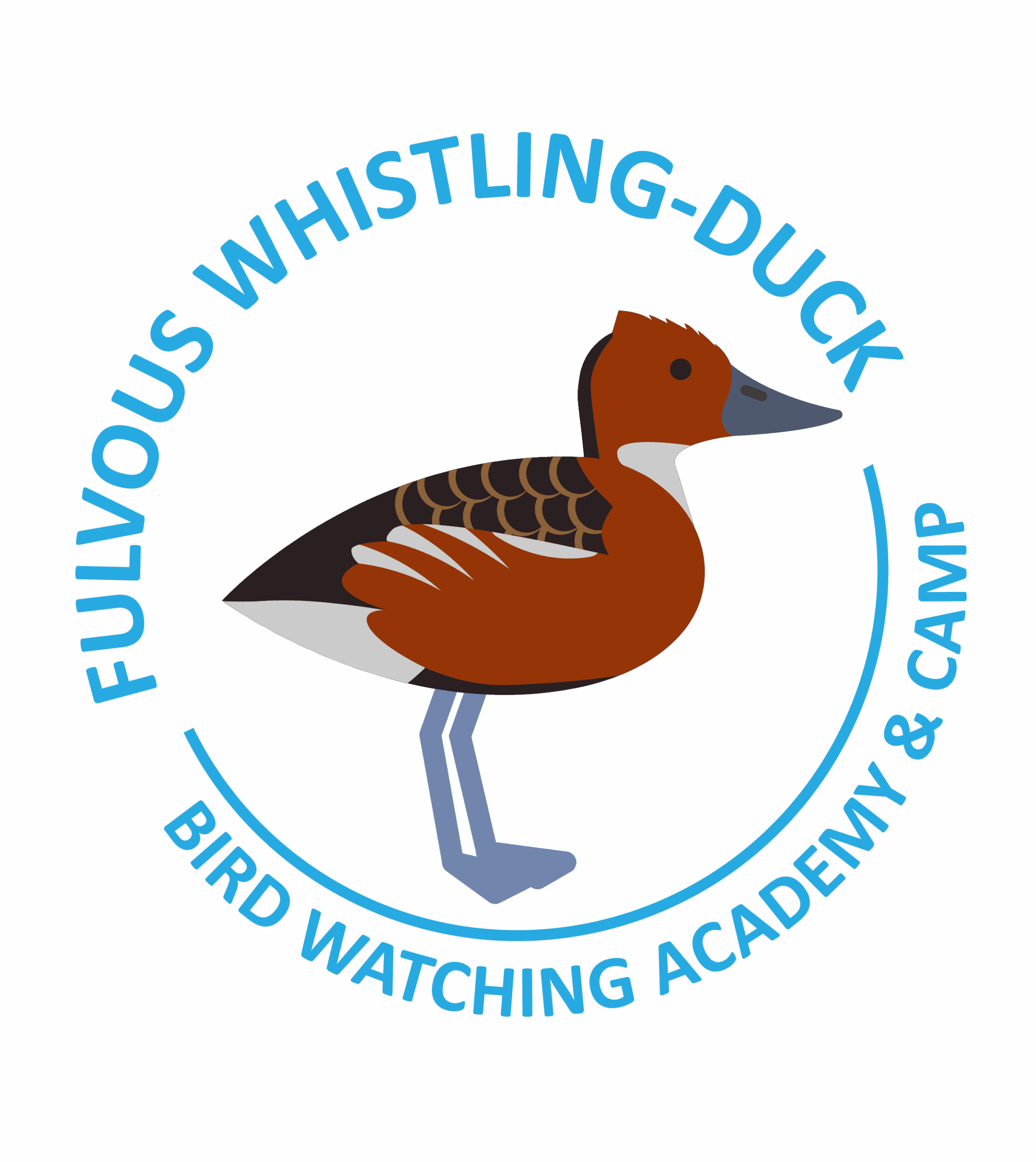 Fulvous Whistling-Duck – My Store