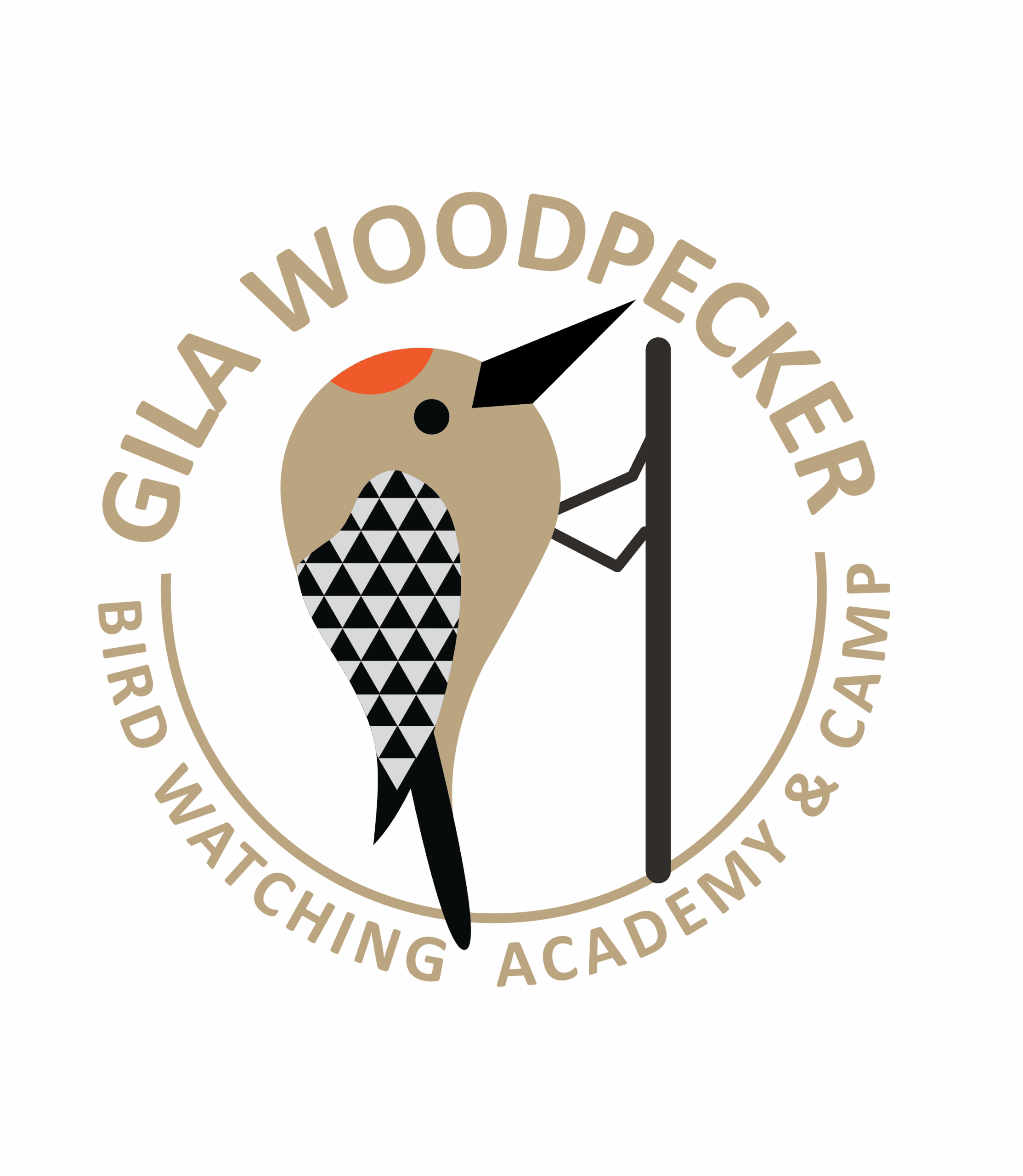 Gila Woodpecker – My Store