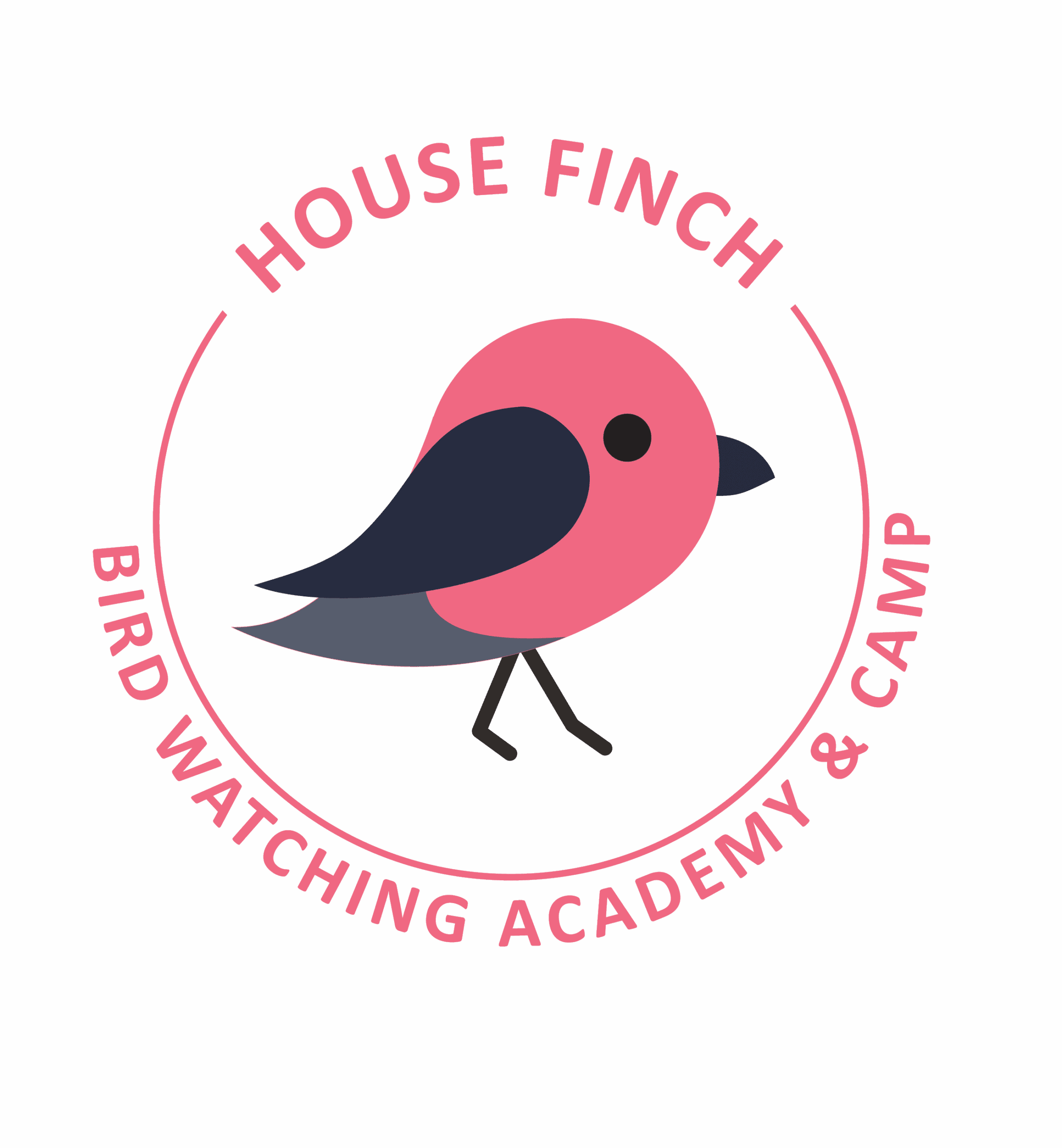 House Finch – My Store