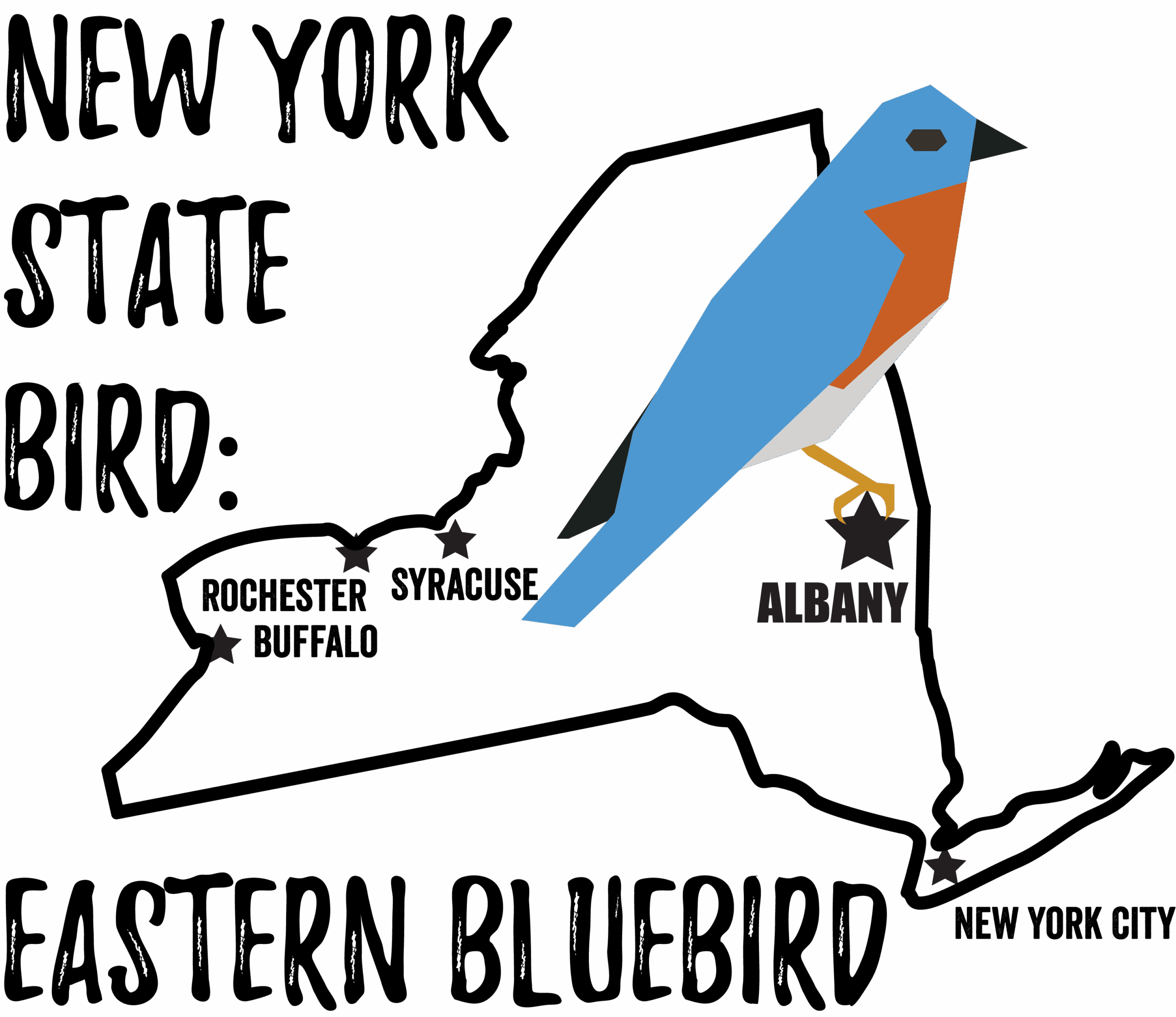 New York State Bird – My Store