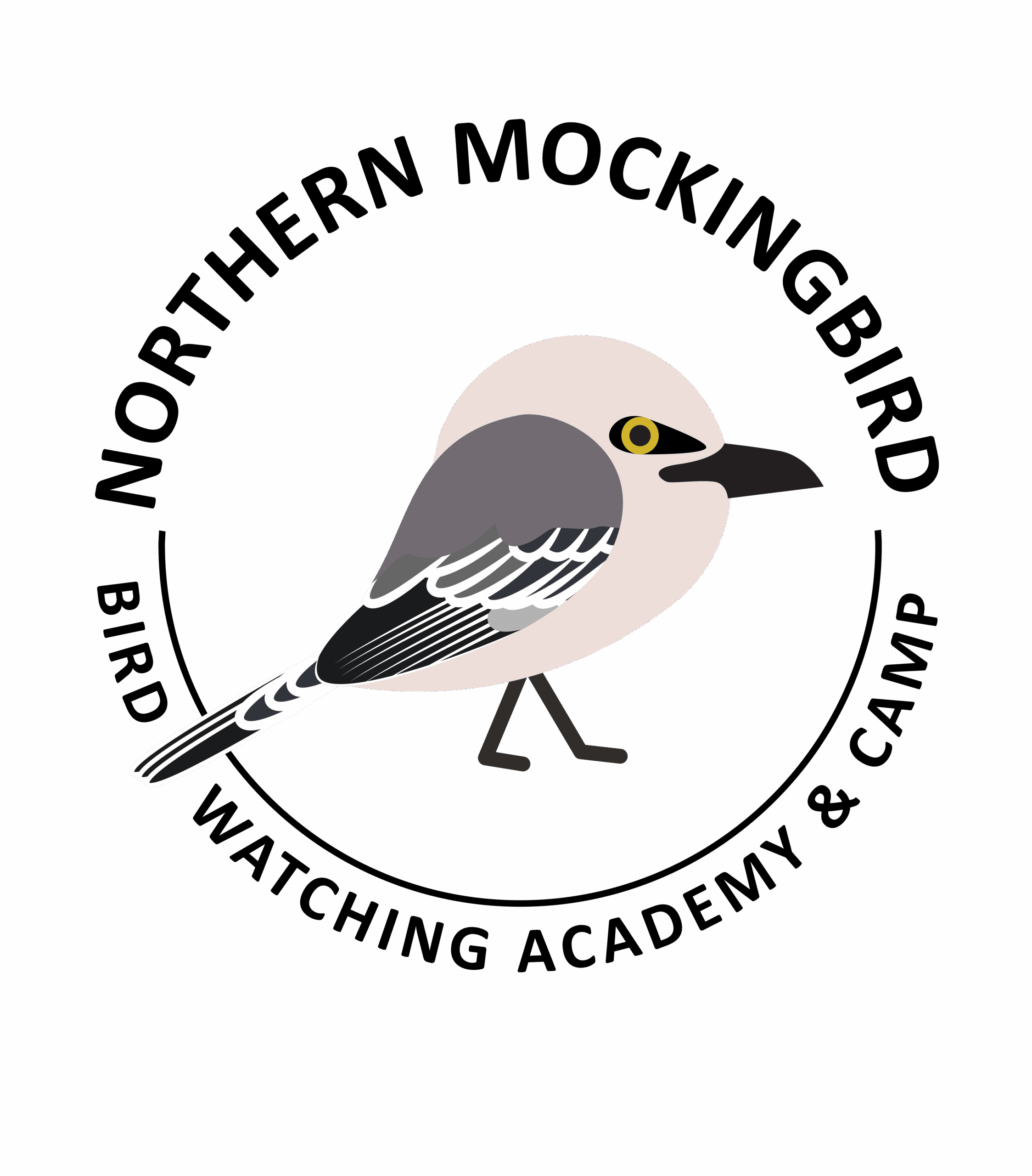 Northern Mockingbird – My Store