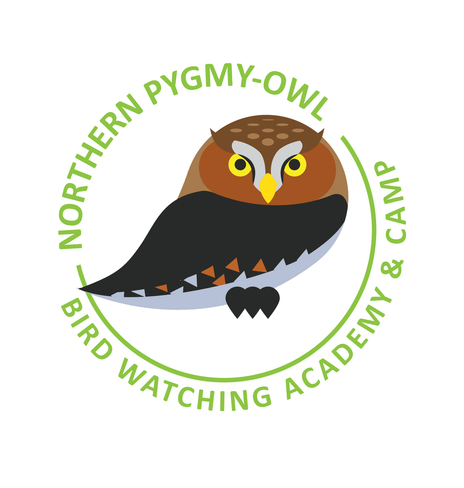Northern Pygmy-Owl – My Store