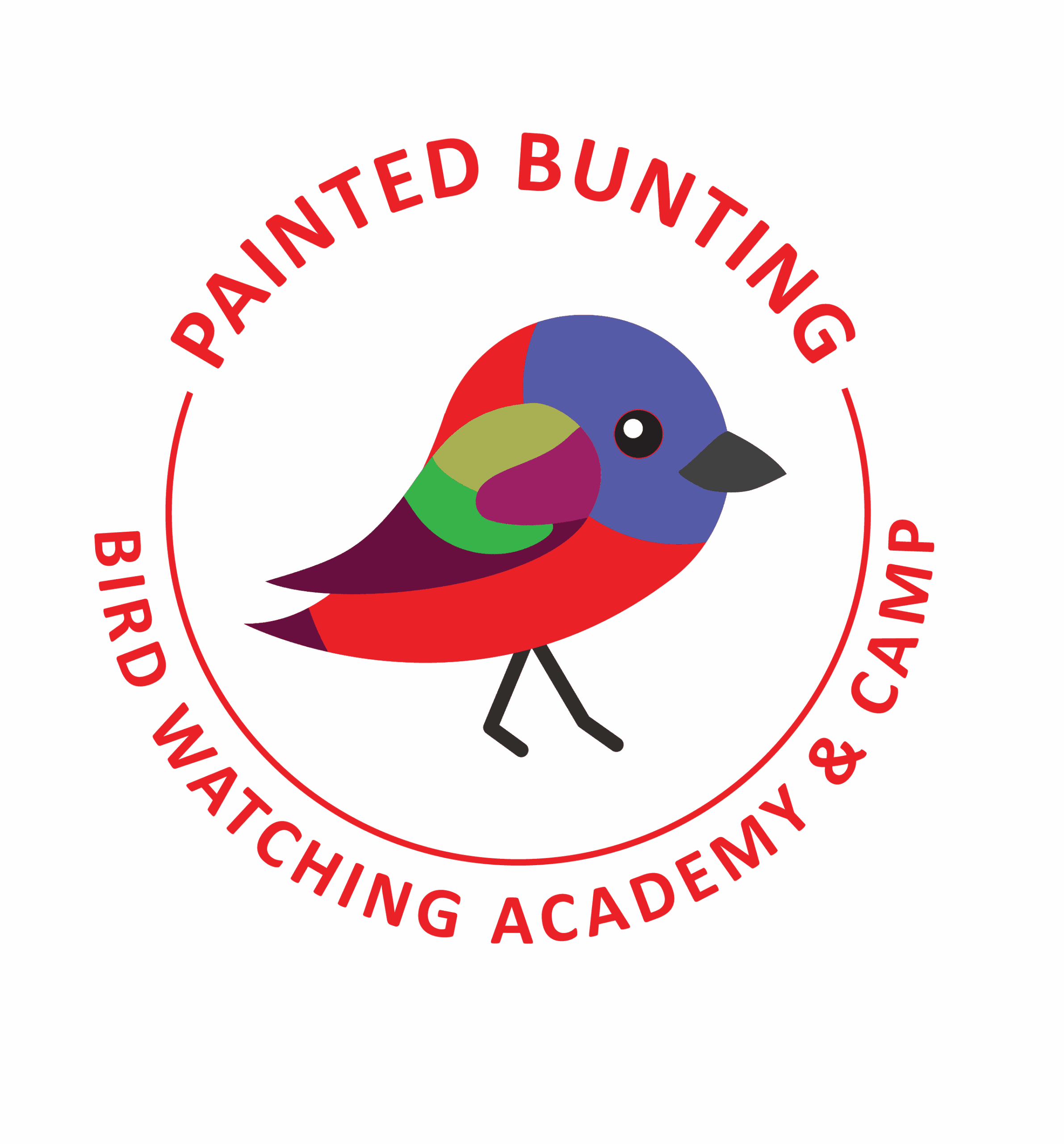 Painted Bunting – My Store