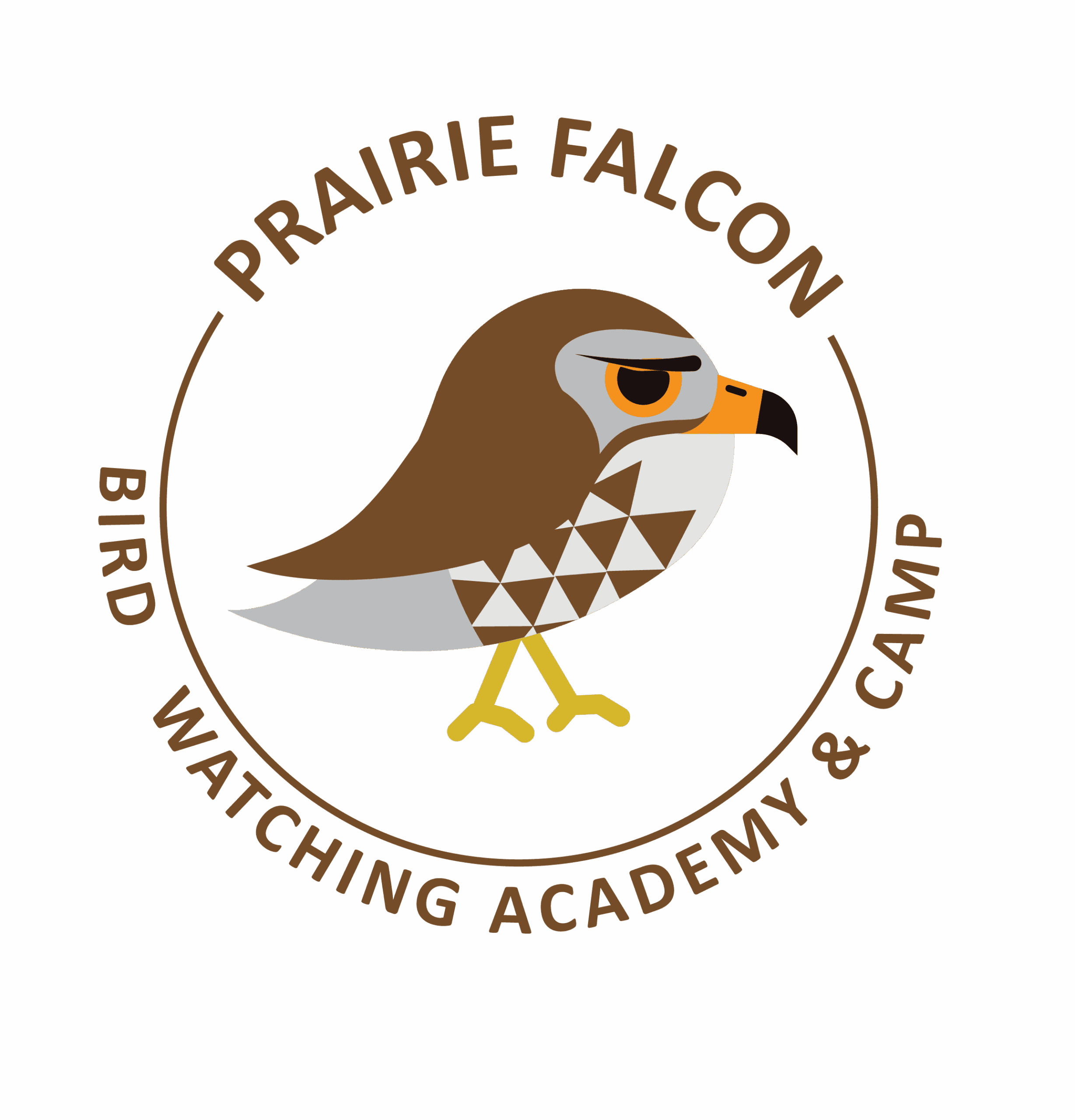 Prairie Falcon – My Store