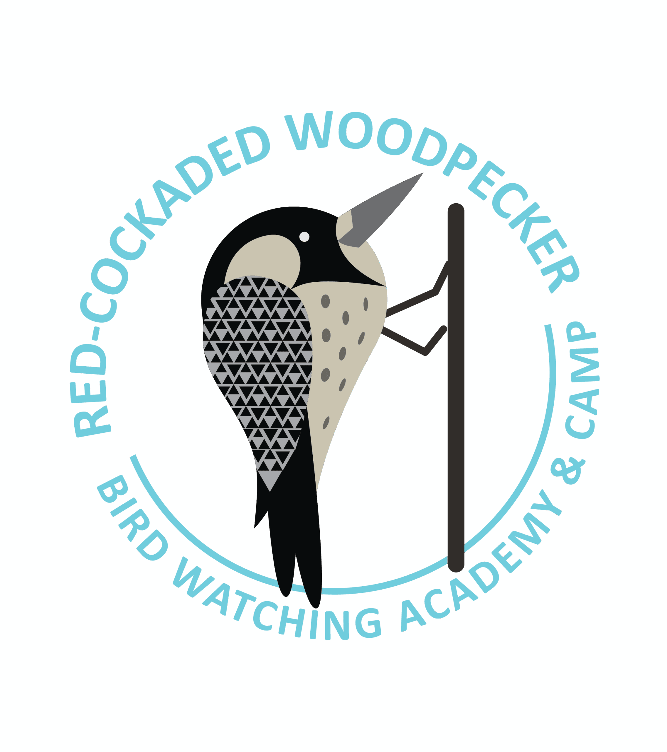 Red-cockaded Woodpecker – My Store