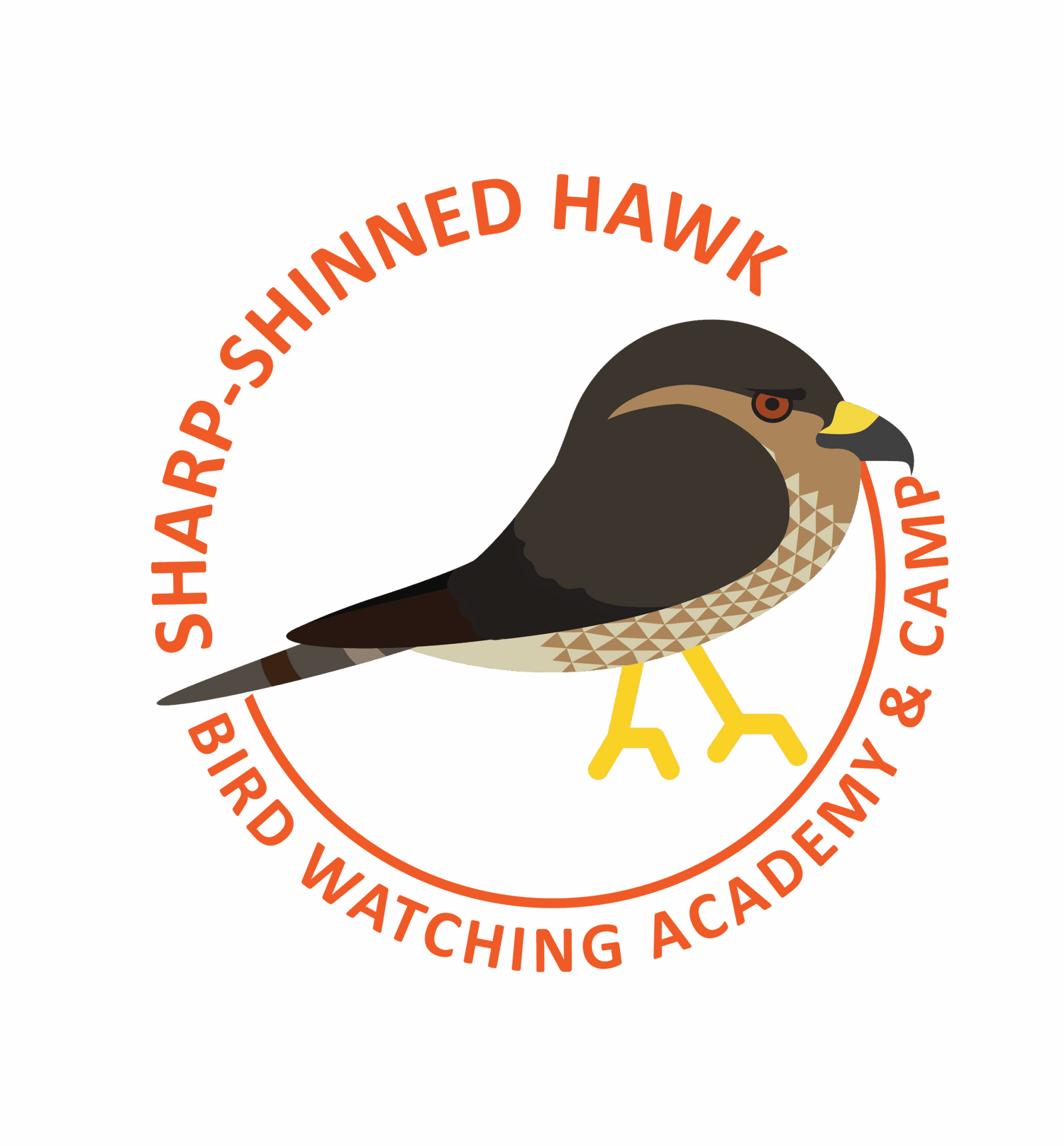 Sharp-shinned Hawk – My Store