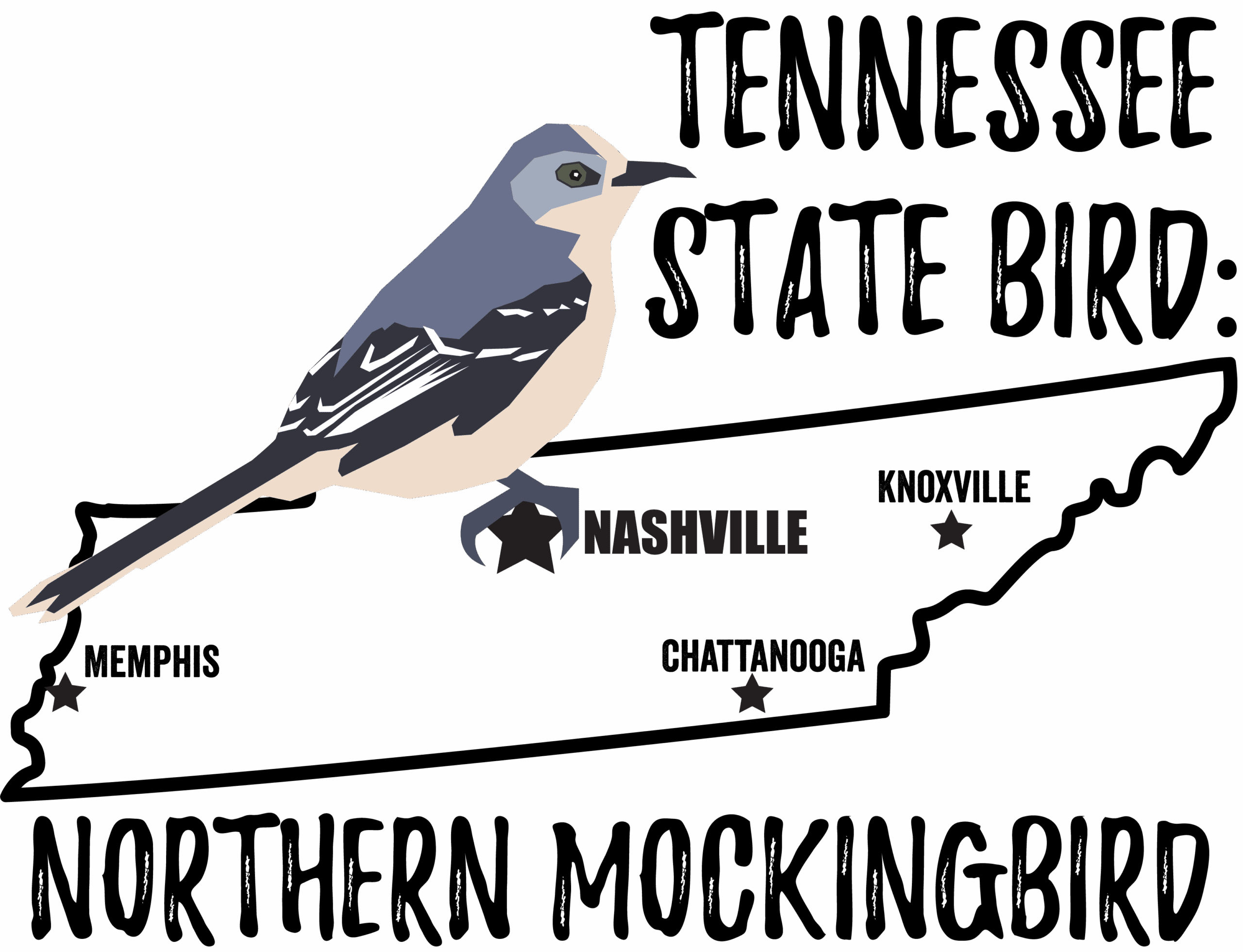 Tennessee State Bird – My Store