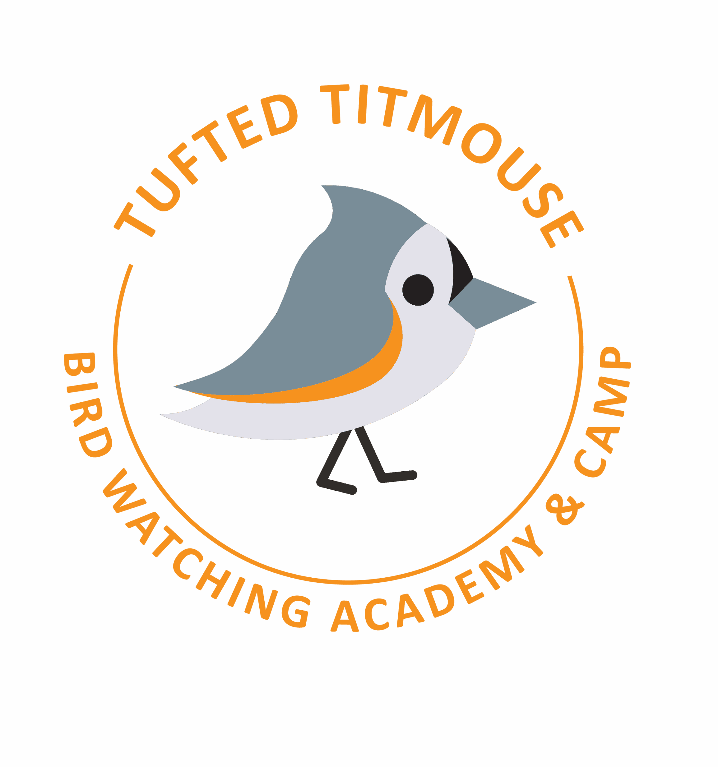 Tufted Titmouse – My Store
