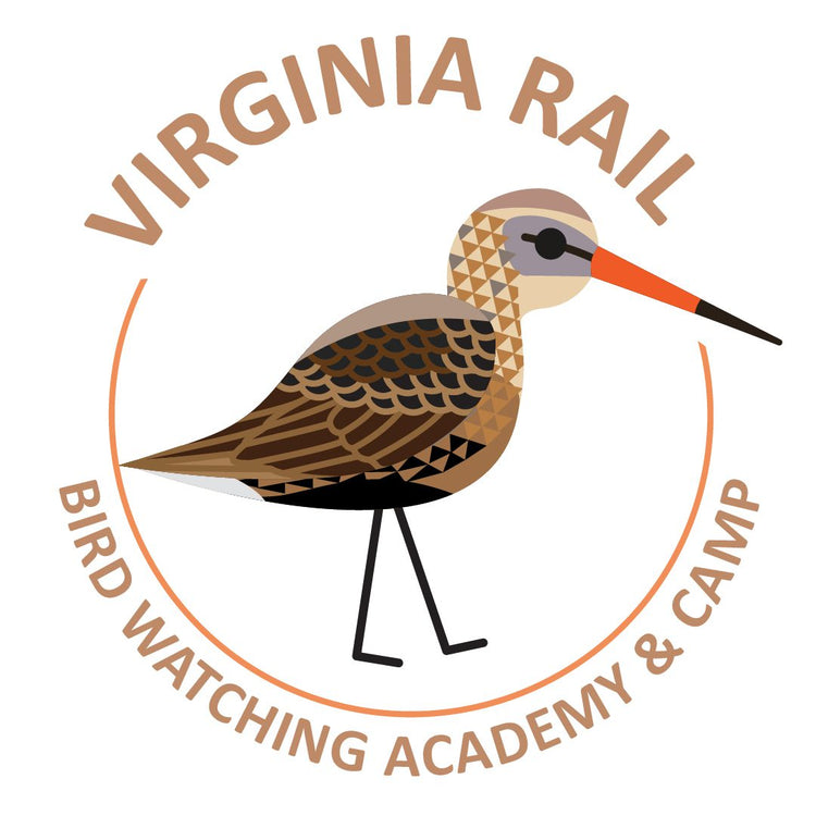 Virginia Rail – My Store