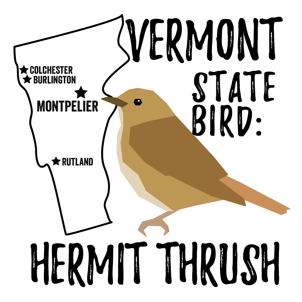 Vermont State Bird – My Store