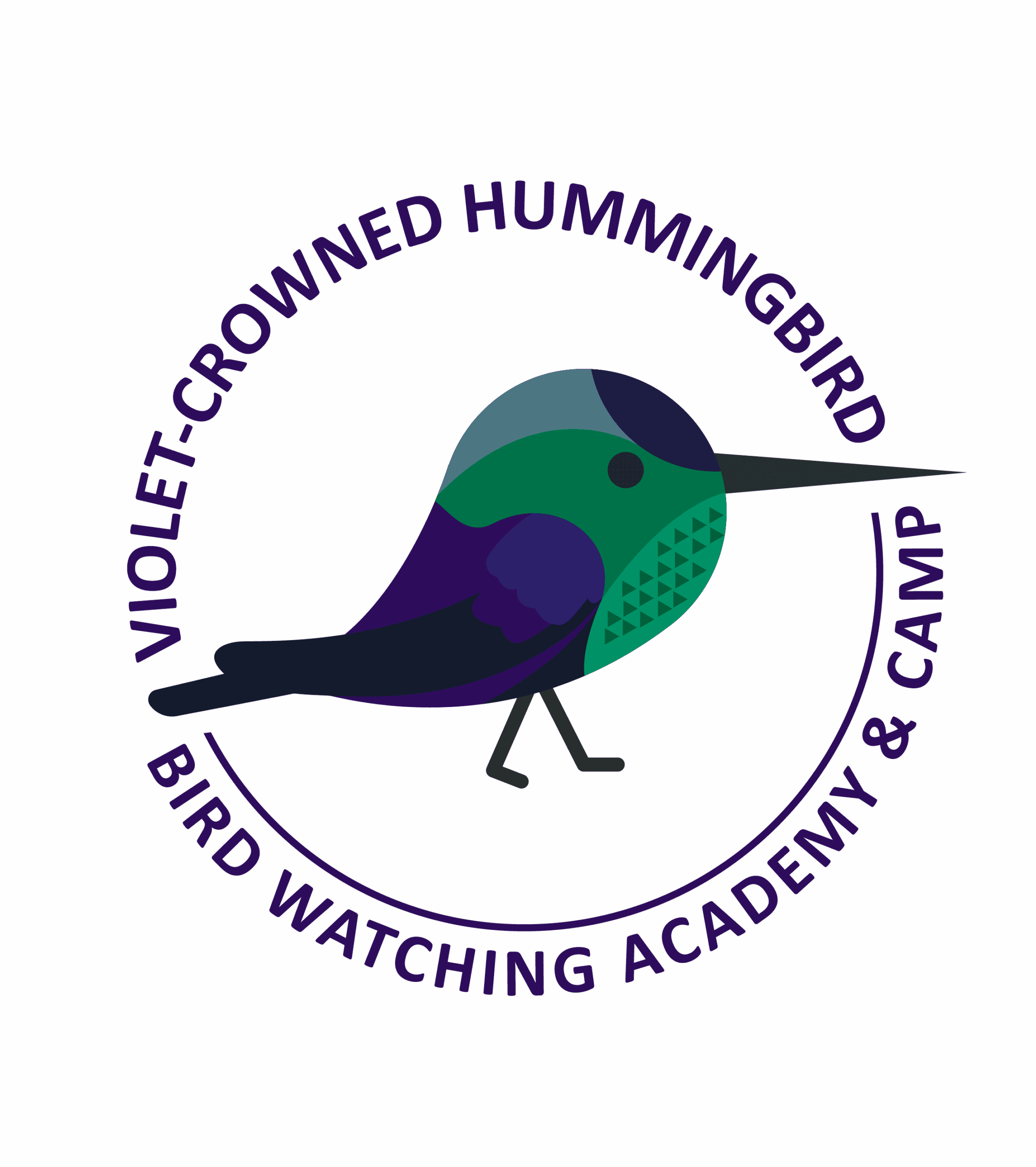 Violet-crowned Hummingbird – My Store